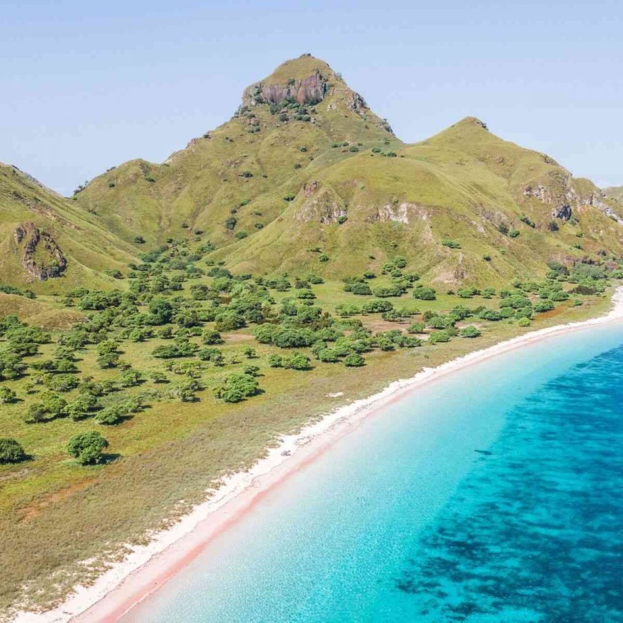 Serba-Serbi tentang Pink Beach Labuan Bajo, Pantai Tercantik di Pulau ...