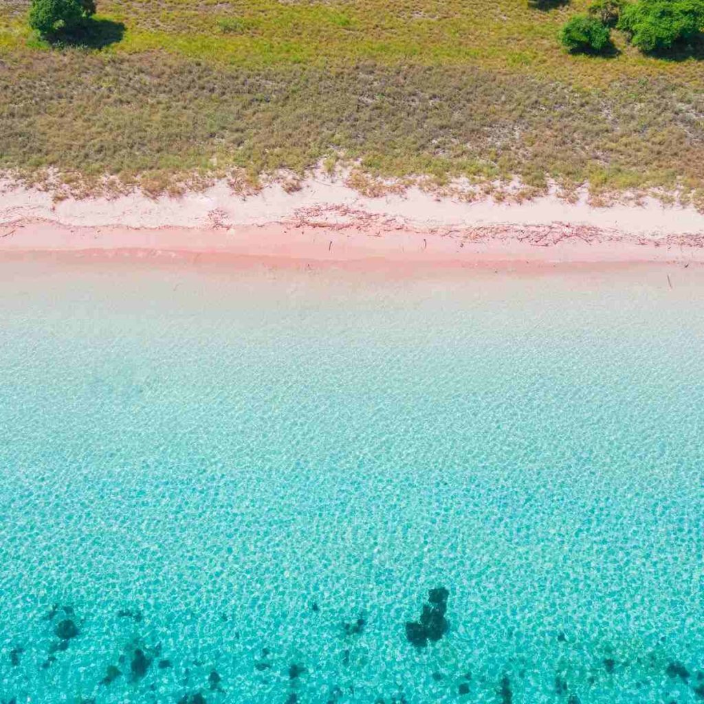 Serba-Serbi tentang Pink Beach Labuan Bajo, Pantai Tercantik di Pulau ...