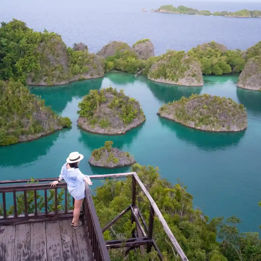 Rincian Biaya Liburan ke Raja Ampat dan Rencana Perjalanannya ...